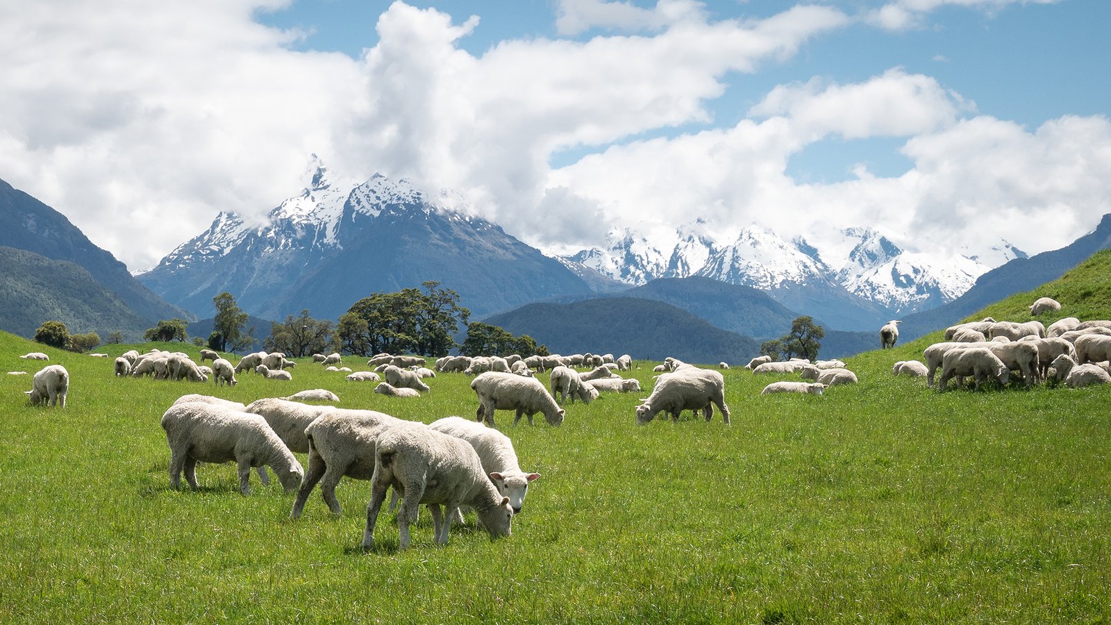 Heard Island and McDonald Islands – Aus1901